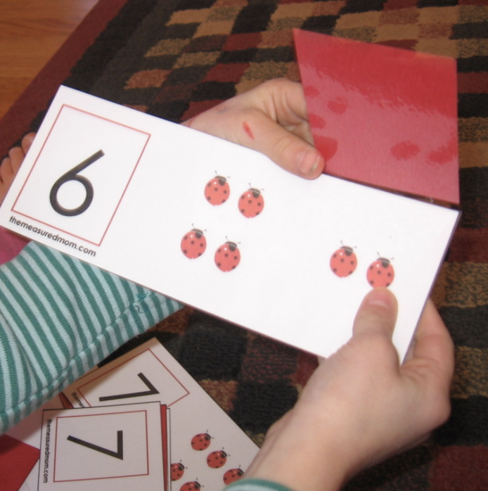 Missing Addend Activity: Ladybug flip cards! - The Measured Mom