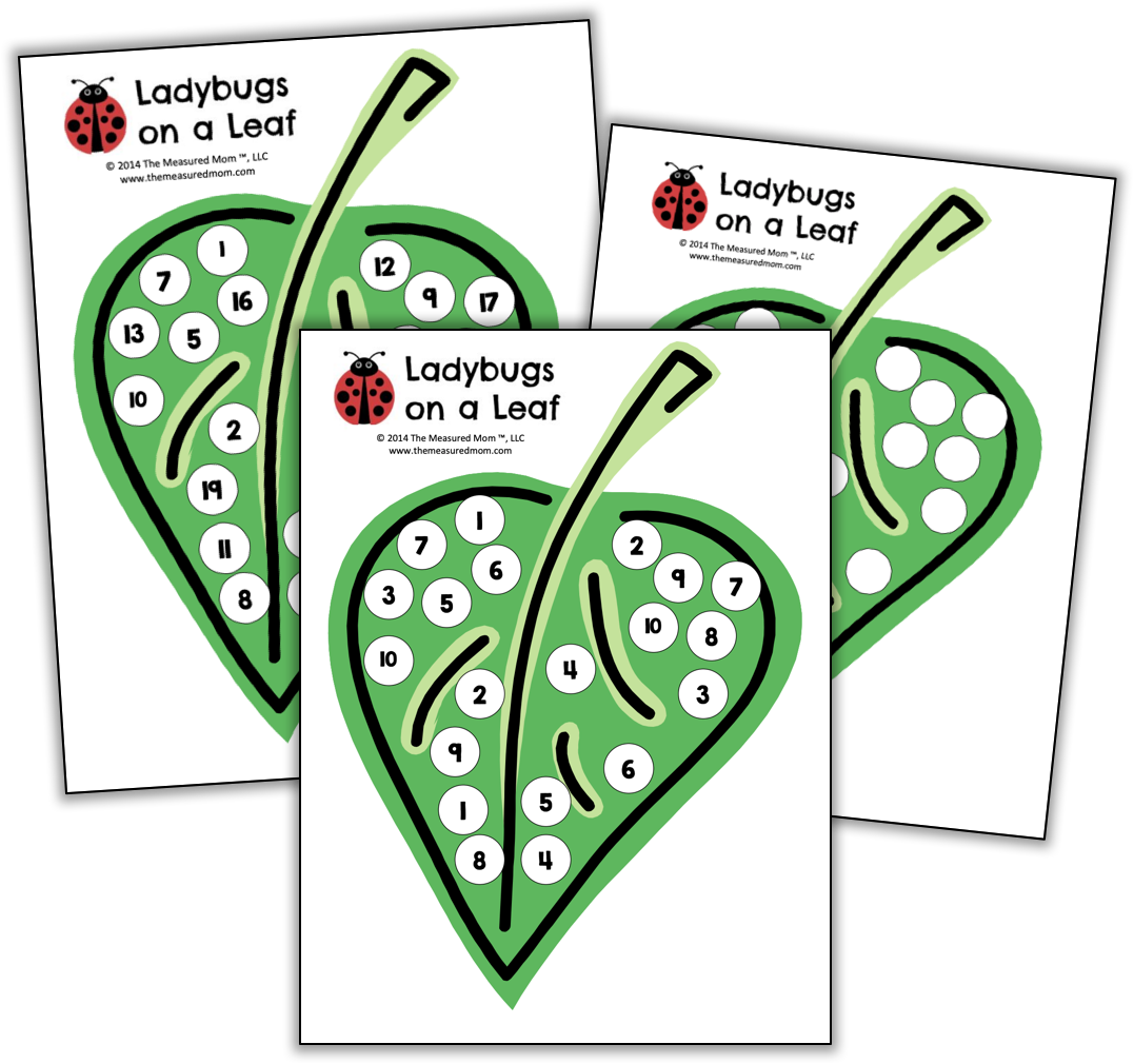 Number Recognition Activity: Ladybugs on a Leaf - The Measured Mom