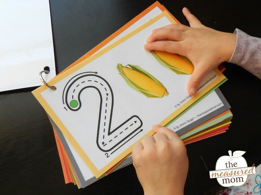 Number tracing cards - The Measured Mom