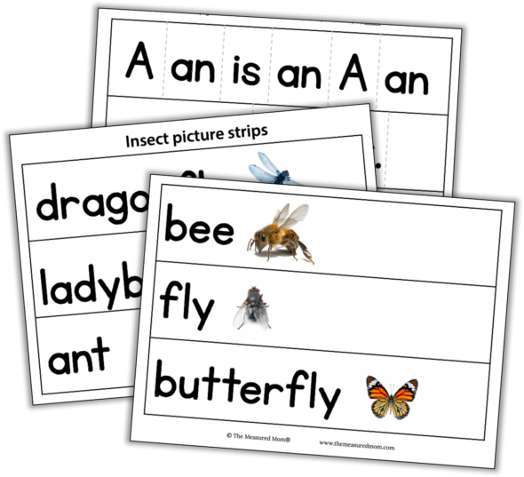 Insect pocket chart sentences - The Measured Mom