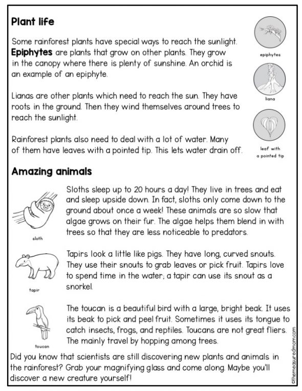 36 Reading Comprehension Passages about Biomes & Habitats - The ...
