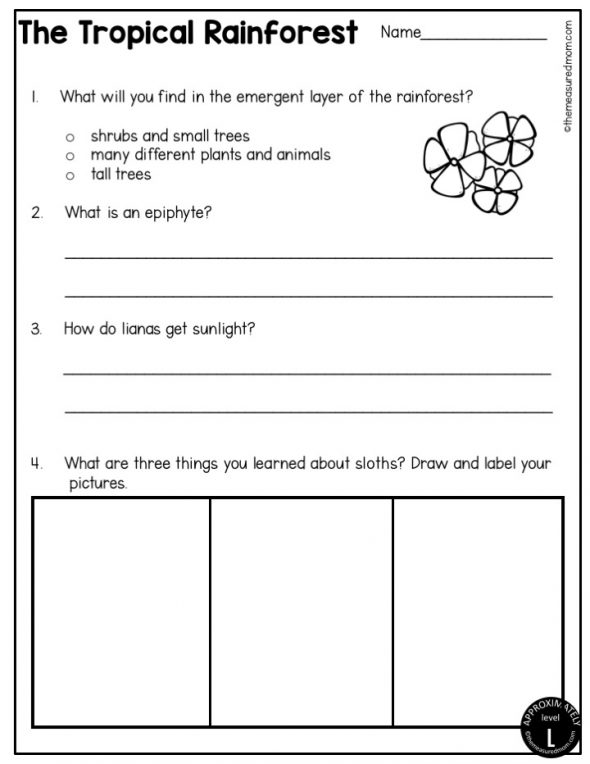36 Reading Comprehension Passages about Biomes & Habitats - The ...