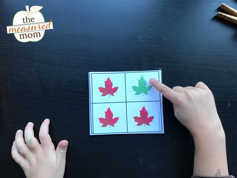 Fall visual discrimination activity - The Measured Mom