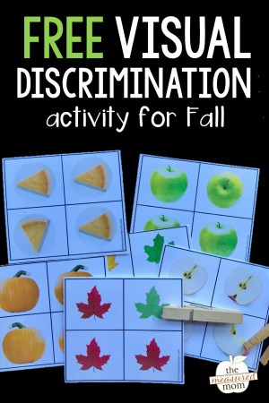 Fall visual discrimination activity - The Measured Mom