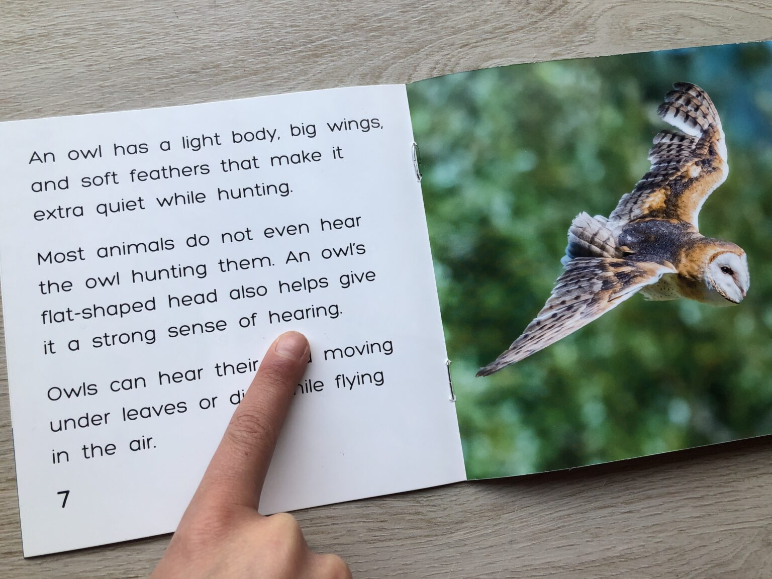 5 Reasons you'll LOVE Just Right Reader decodable books! - The Measured Mom