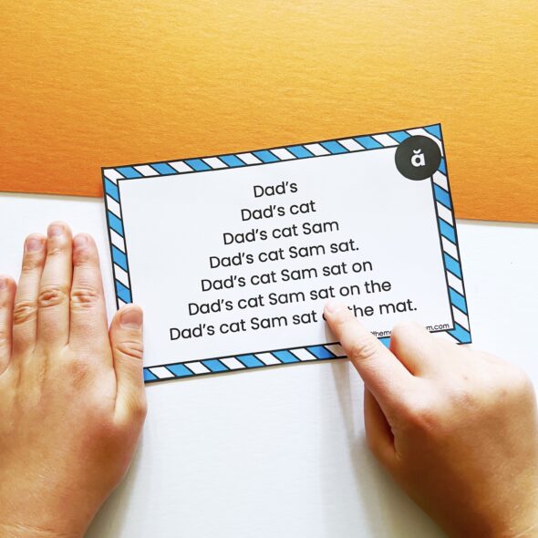 Decodable Fluency Pyramids - Level 1 - CVC, Digraphs, Blends & more ...